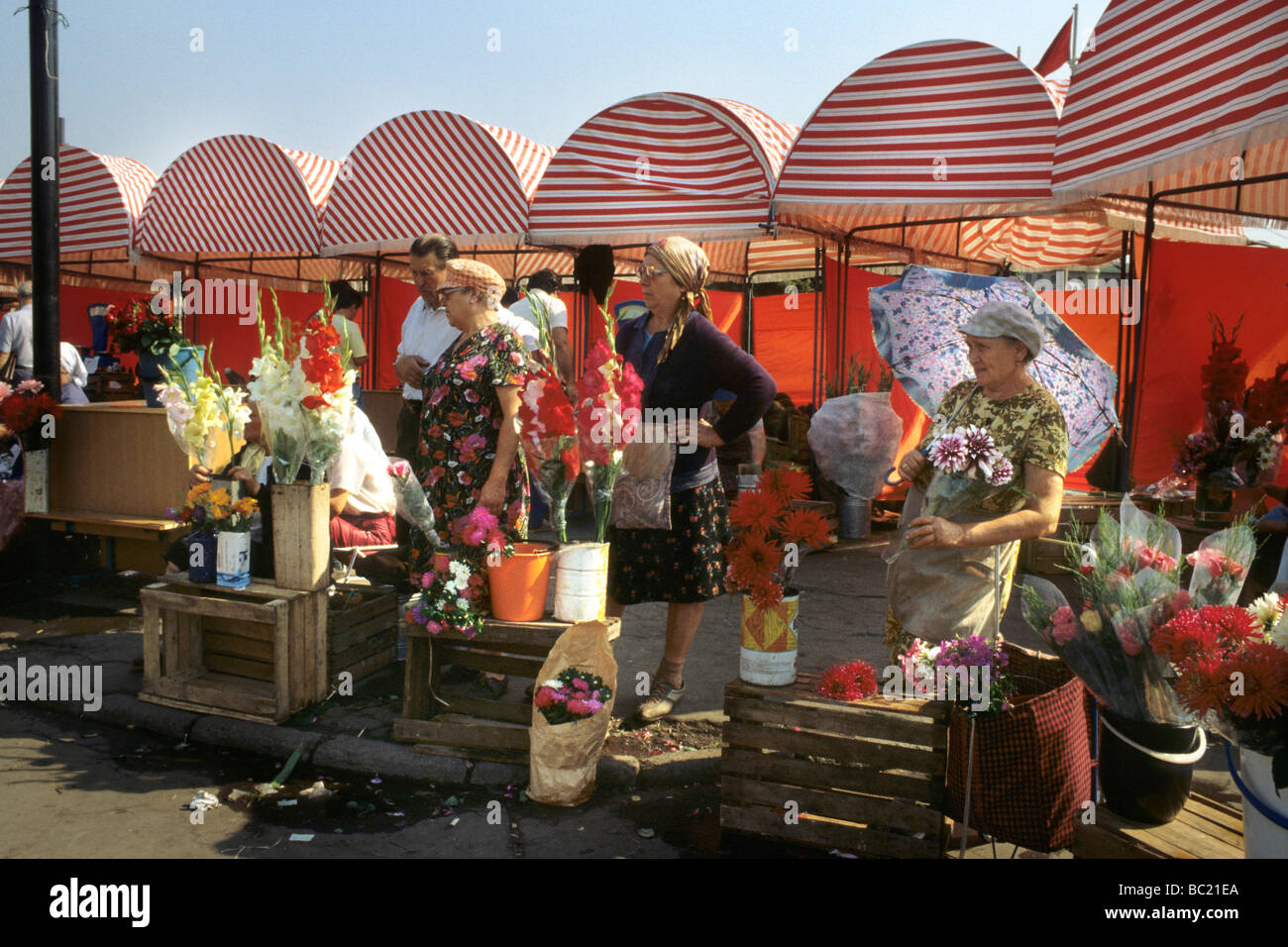 moscow flowers seller Stock Photo - Alamy