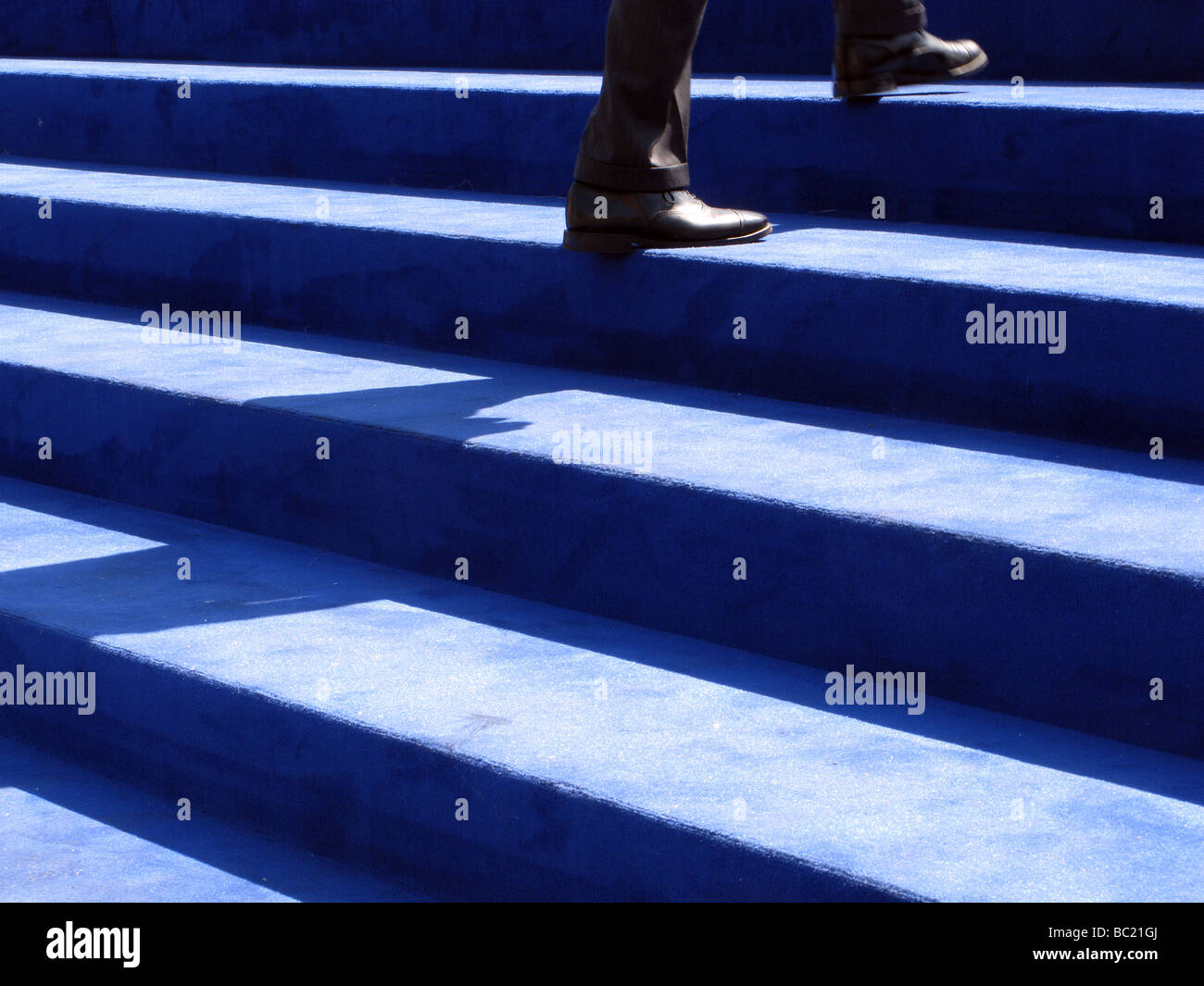 man walking up steps covered with blue carpet Stock Photo - Alamy