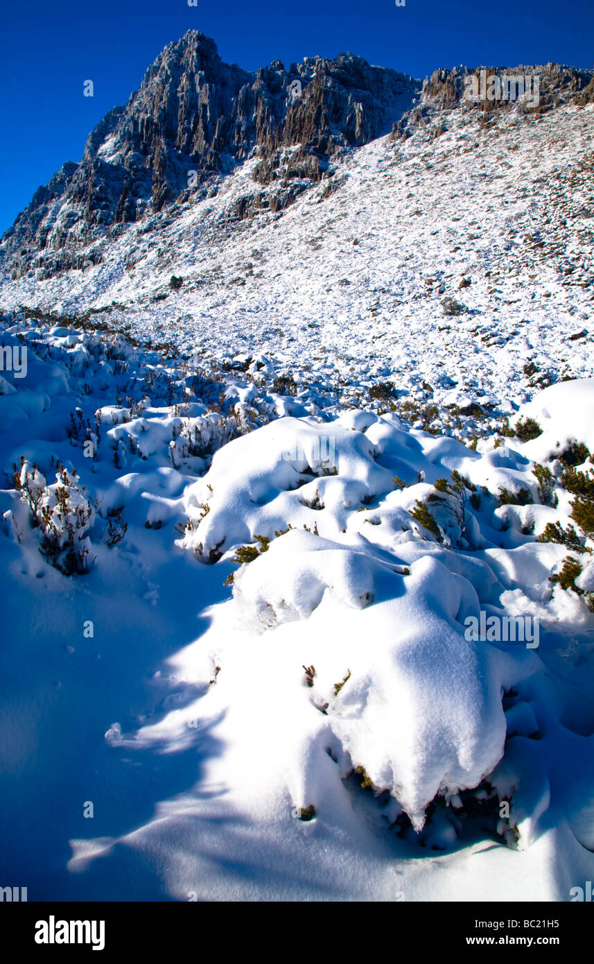Australia Tasmania Cradle Mt Lake St Clair National Park Snow covered ...