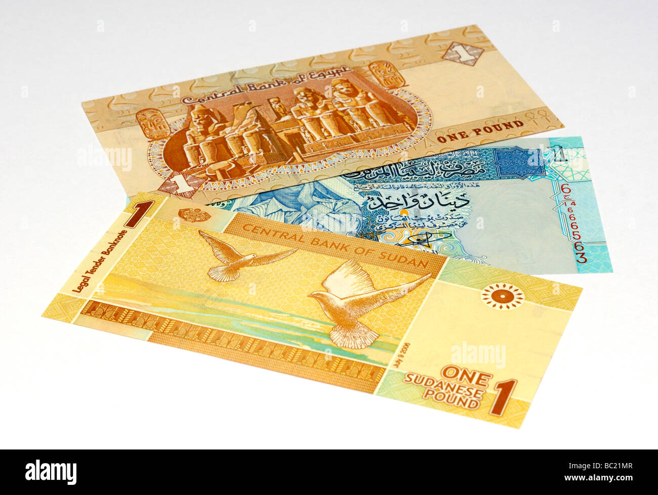 North African Banknotes Stock Photo - Alamy