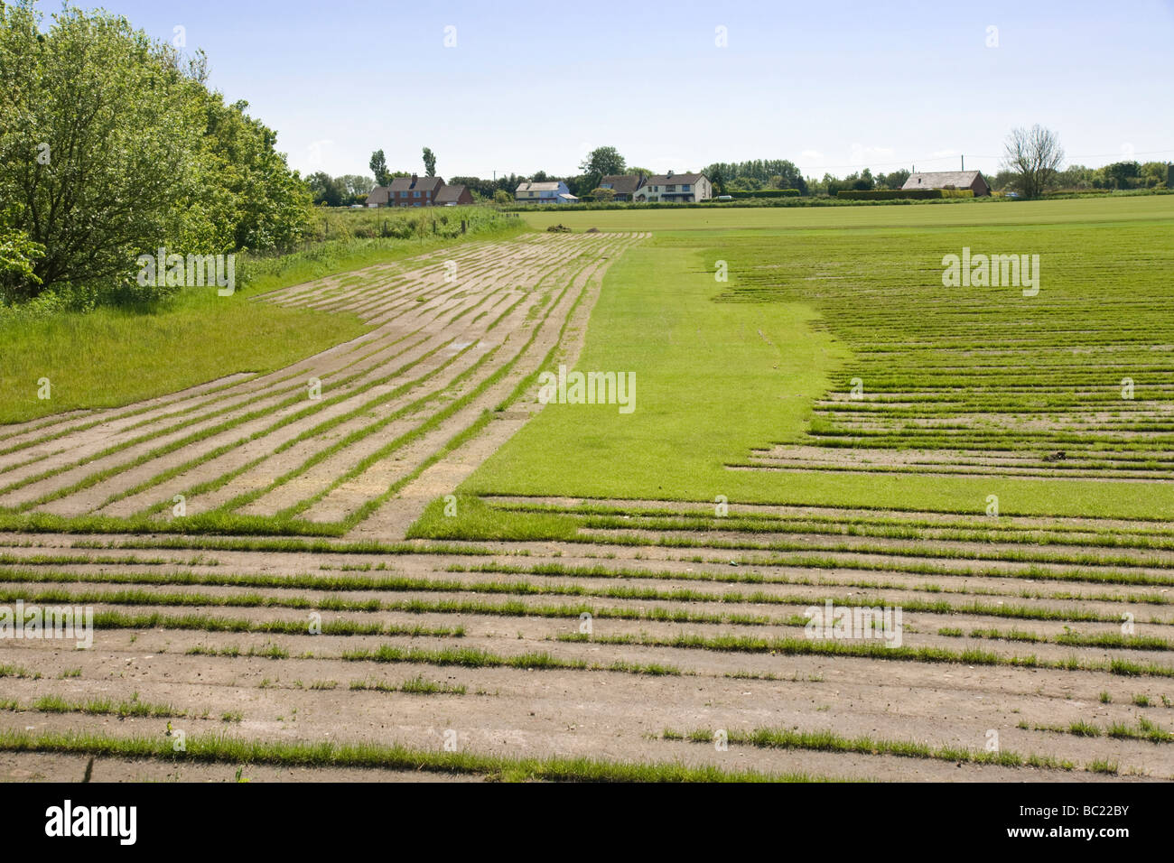 Scarisbrick hi-res stock photography and images - Alamy