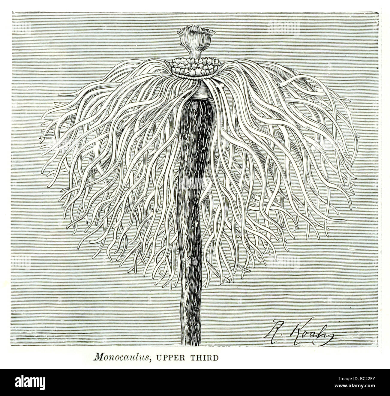 Upper third of image hi-res stock photography and images - Alamy