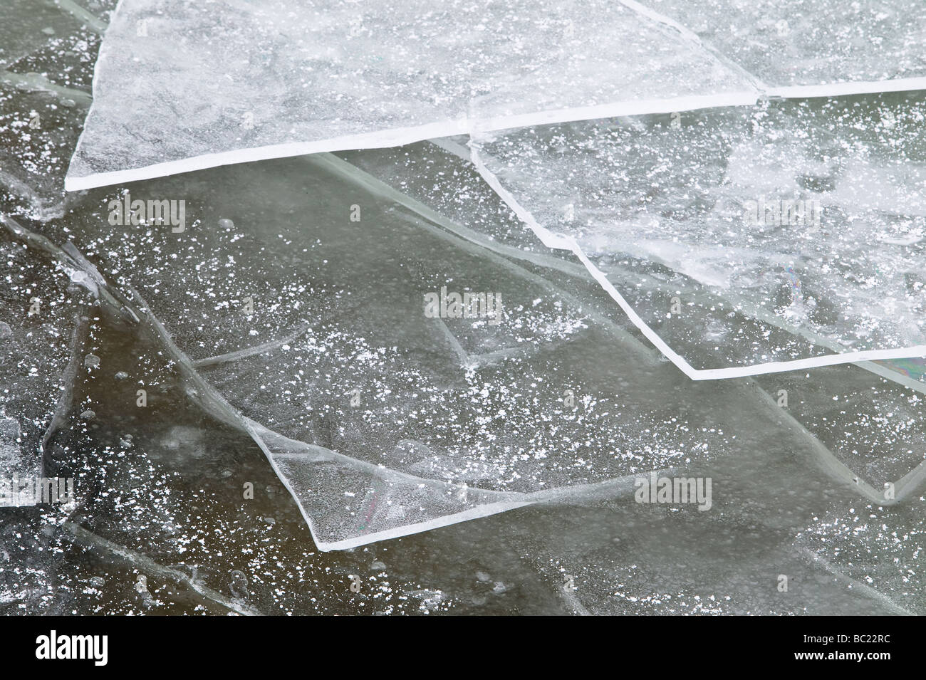 Thin sheets of ice stacked on top of one another, Lake Lowell, Deer ...