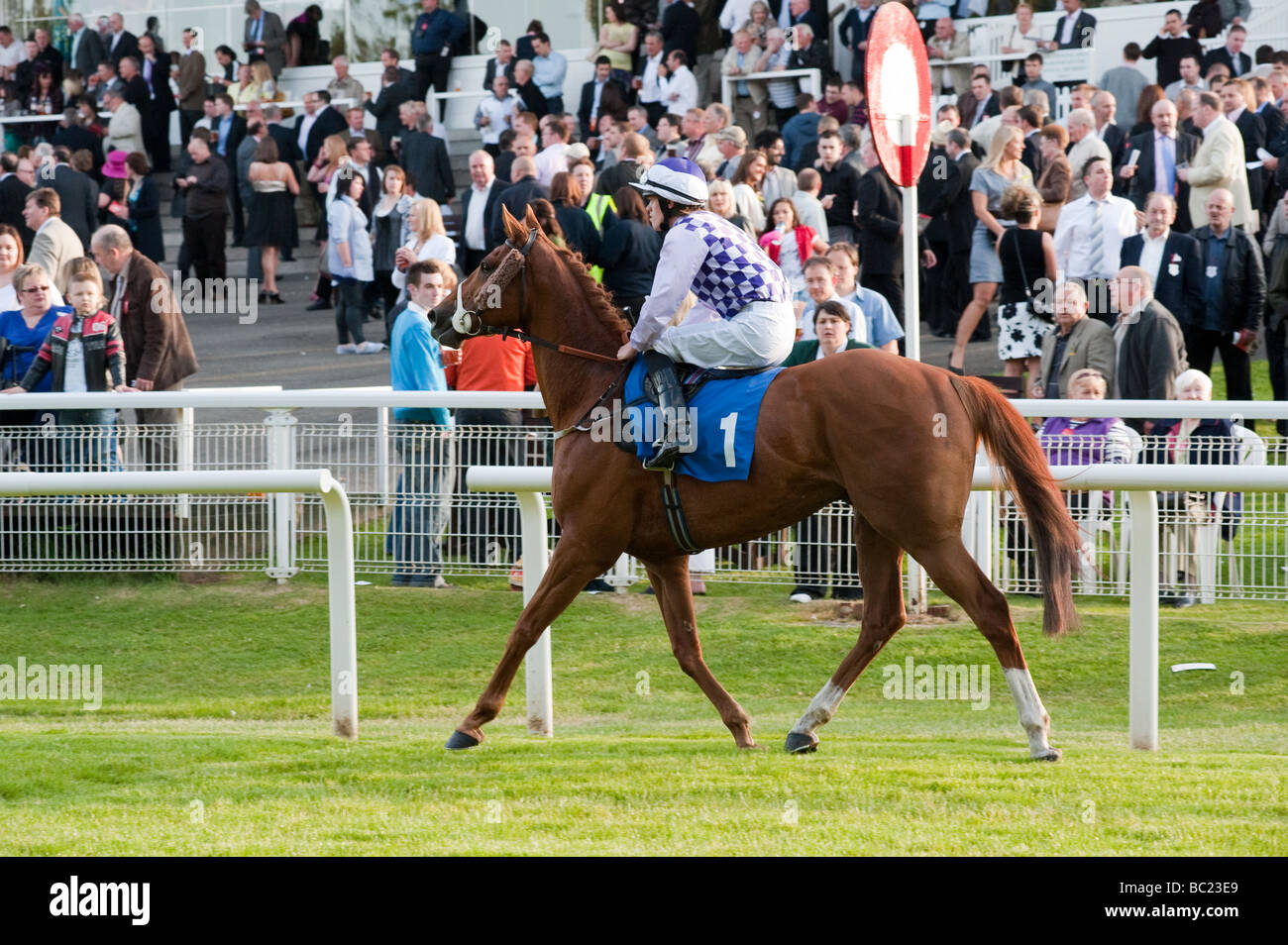 Cantering to the start hi-res stock photography and images - Alamy