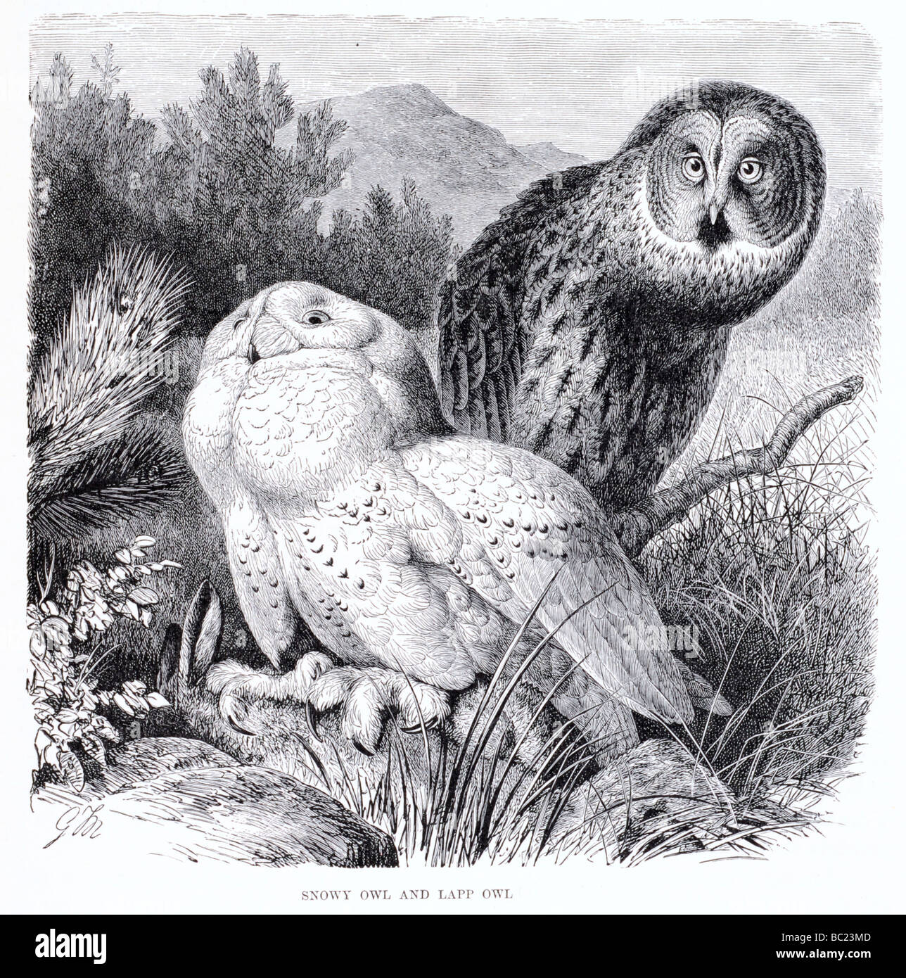 Lap drawing hi-res stock photography and images - Alamy