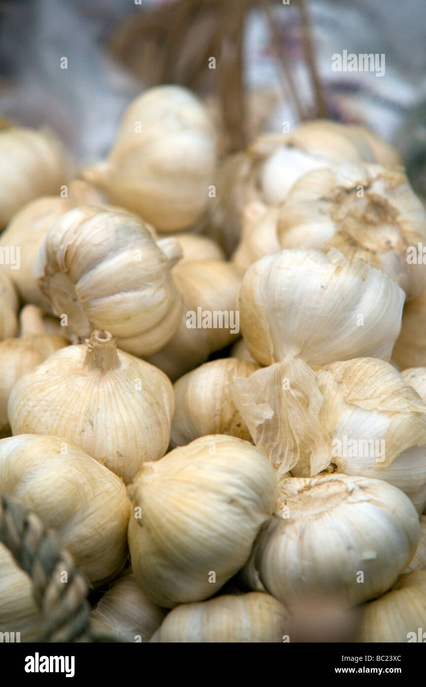 Display of Garlic bulbs at a Food Fair Derbyshire East Midlands England ...