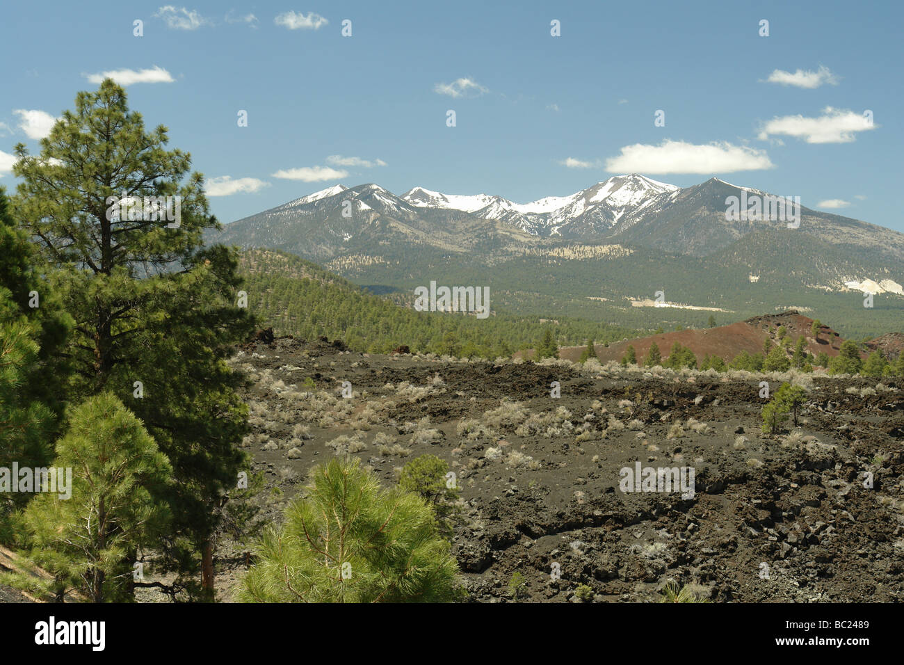 Sunset Crater Volcano National Monument, Flagstaff, Arizona, AZ Stock ...