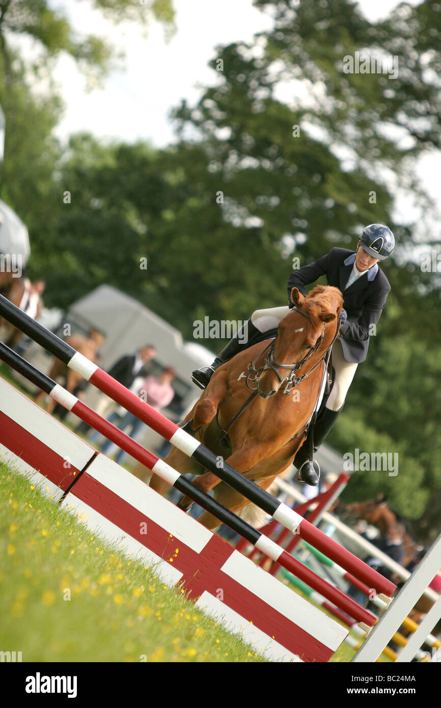 Jumpers horse hi-res stock photography and images - Alamy