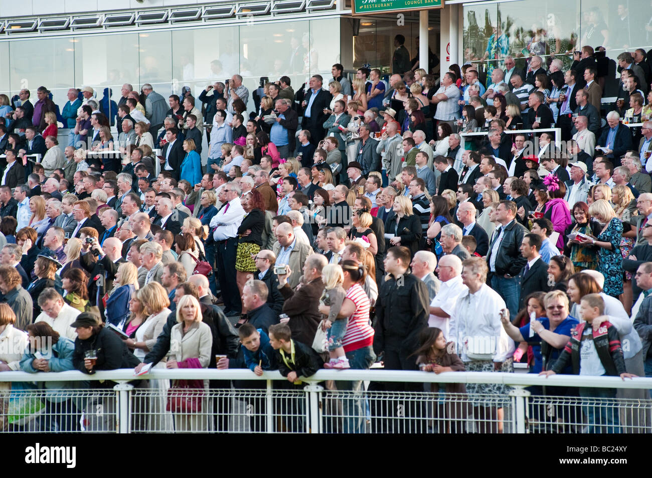 Horse spectator hi-res stock photography and images - Alamy