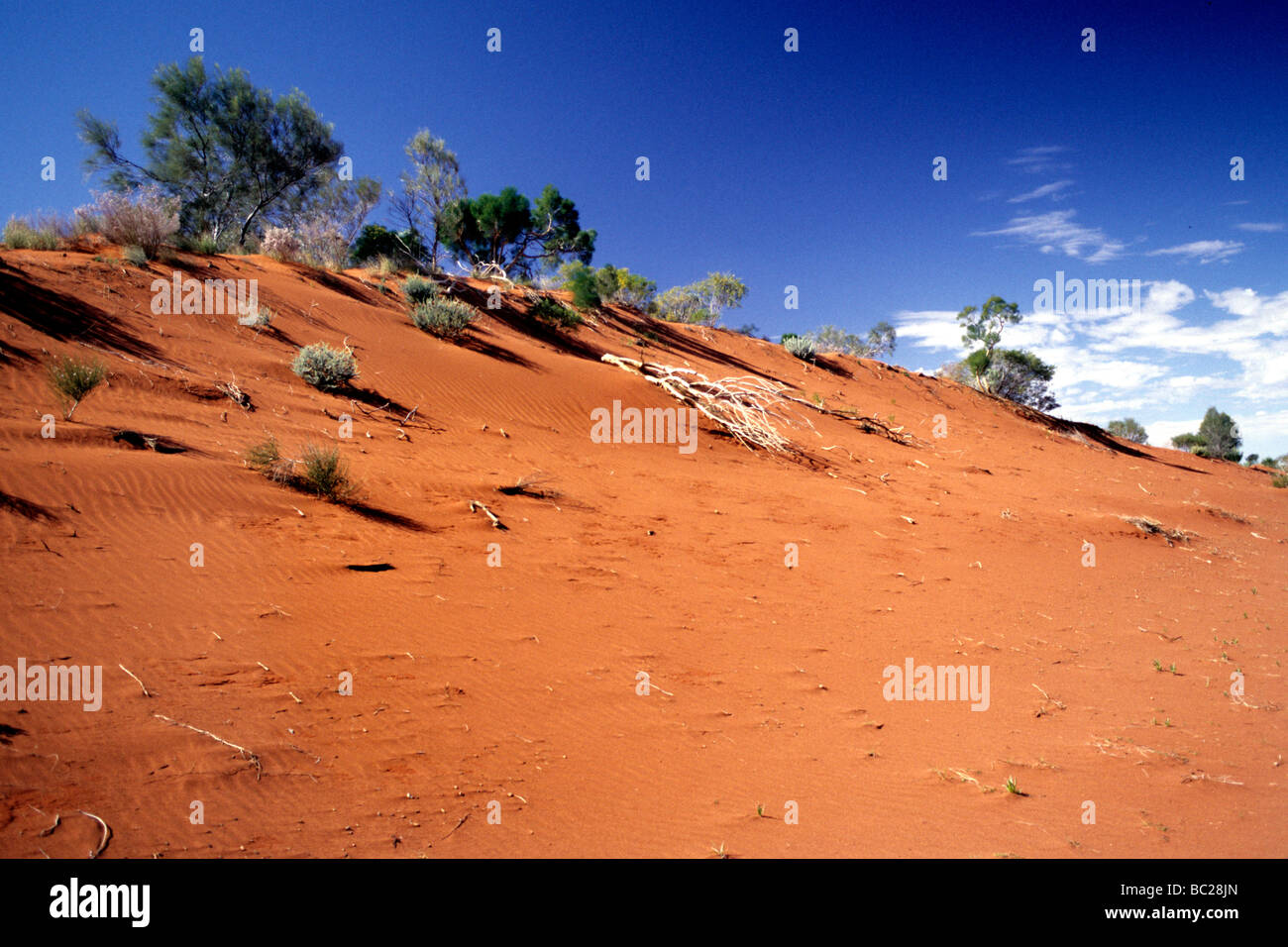 Australian desert sands hi-res stock photography and images - Alamy