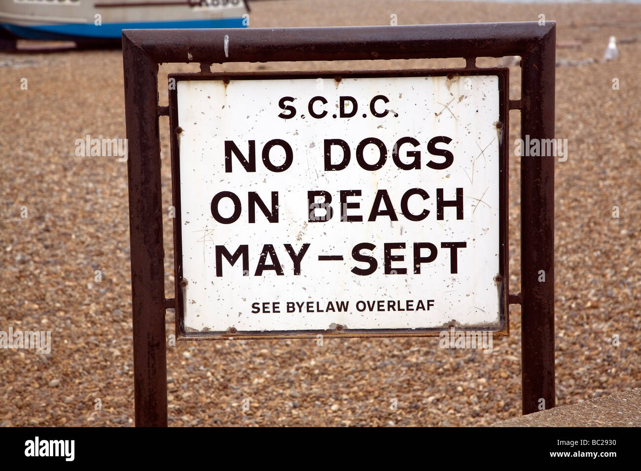 No Dogs on Beach sign Stock Photo - Alamy