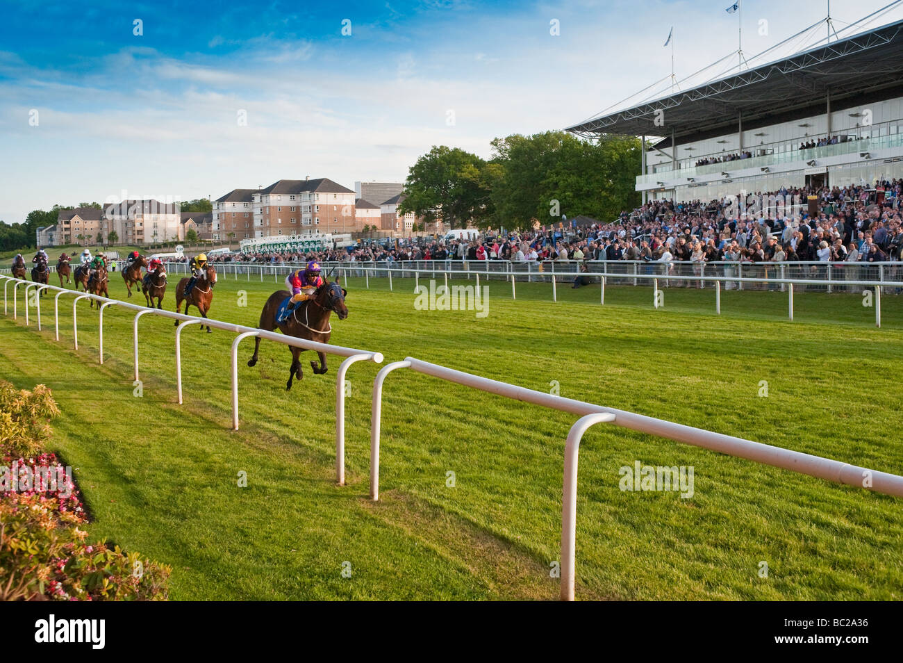 Scottish horse racing hi-res stock photography and images - Alamy