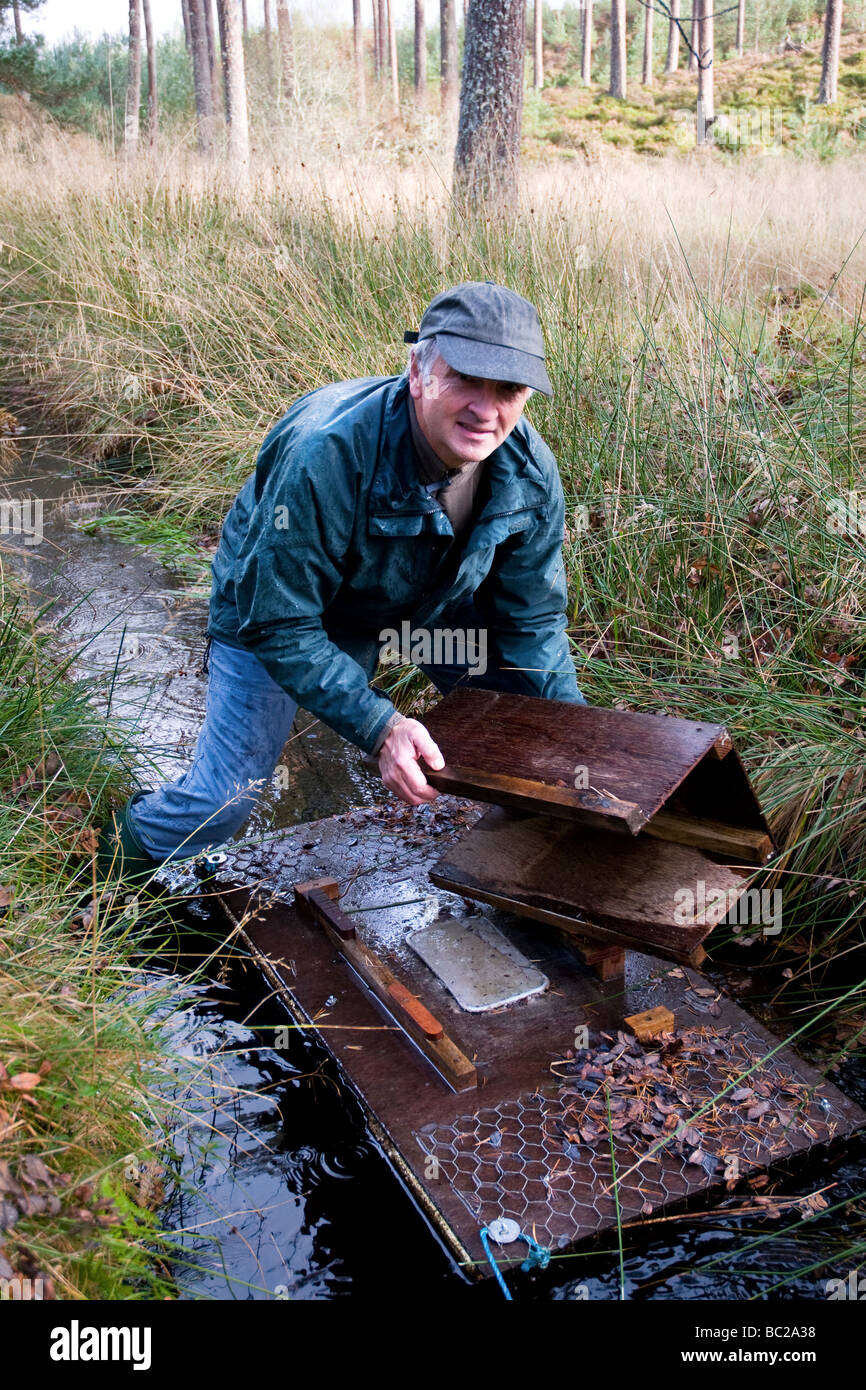 Mink raft scotland hi-res stock photography and images - Alamy
