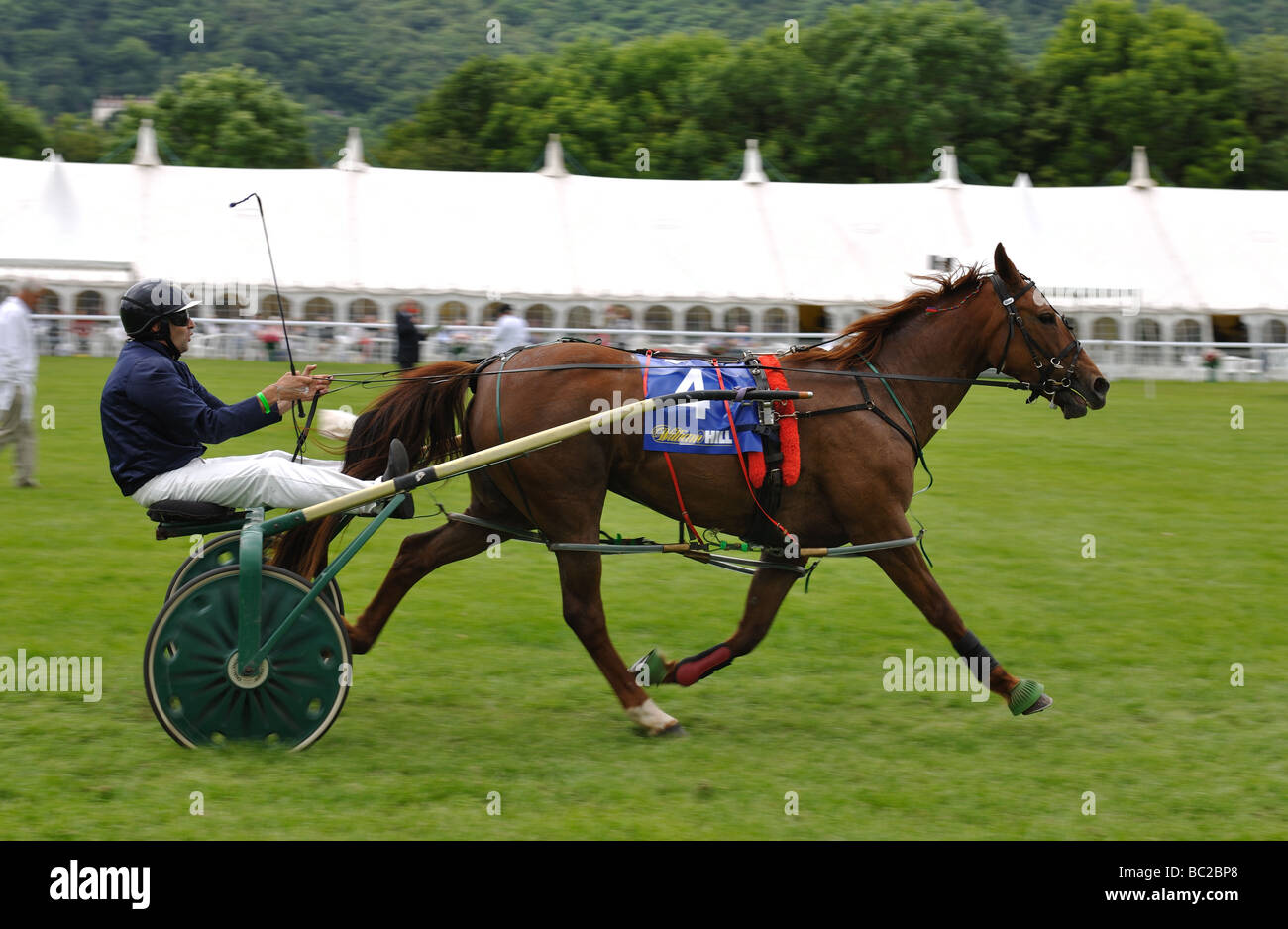 Harness racing at the Three Counties Show, Great Malvern, UK Stock ...