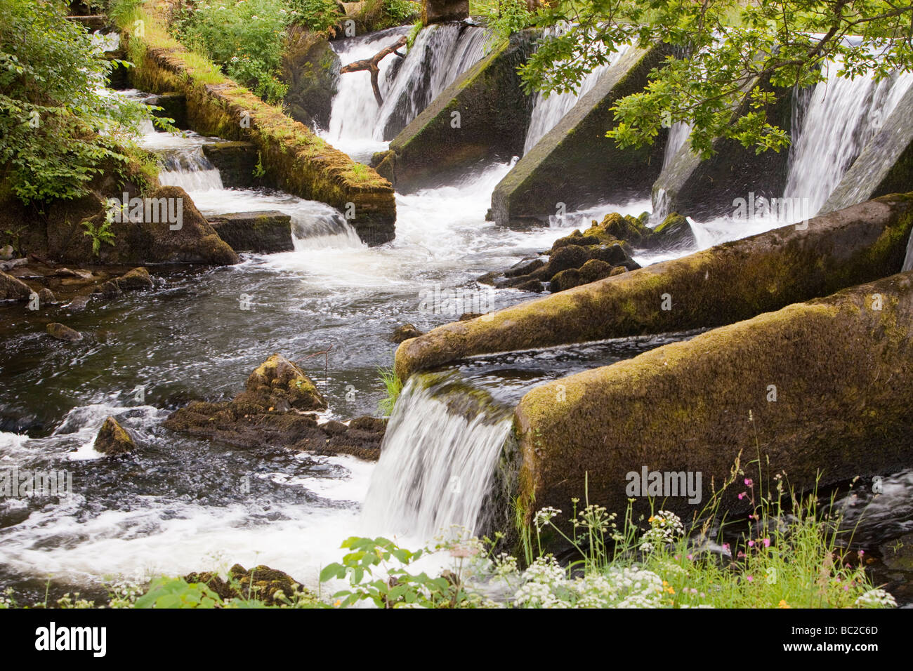 A weir with a fish ladder on the River Kent near Burneside Kendal ...