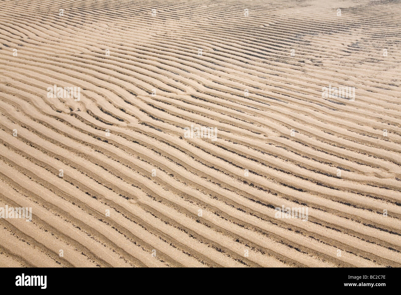 Coal dust on beach newbiggin by the sea hi-res stock photography and ...
