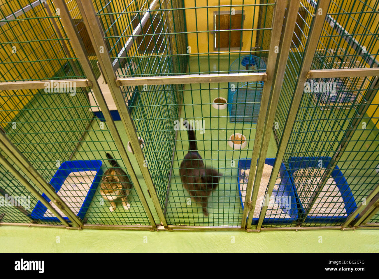 home for animals board for animals Stock Photo - Alamy