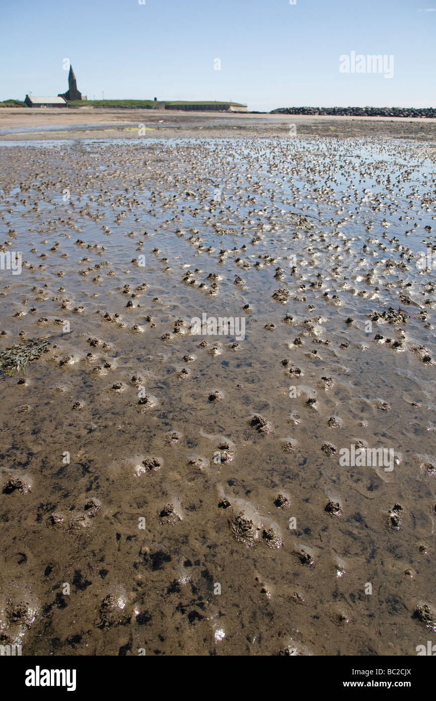 Wormcasts beach hi-res stock photography and images - Alamy