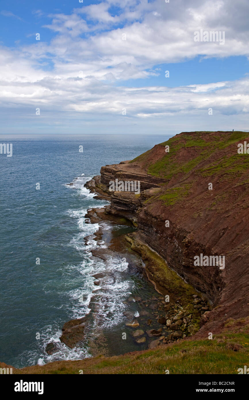 Filey brigg country park hi-res stock photography and images - Alamy