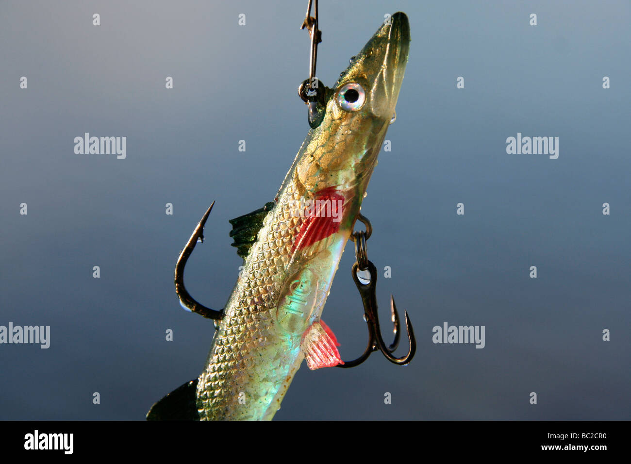 Fish bait hi-res stock photography and images - Alamy