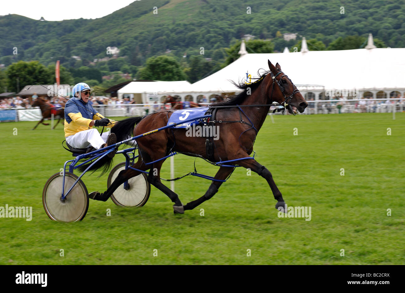 Harness racing at the Three Counties Show, Great Malvern, UK Stock ...
