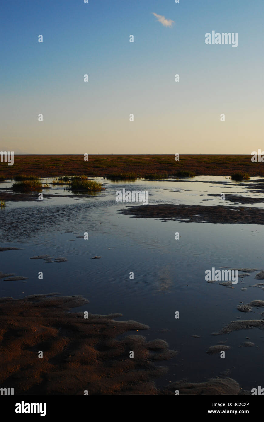 Tidal pools in the sand Stock Photo - Alamy