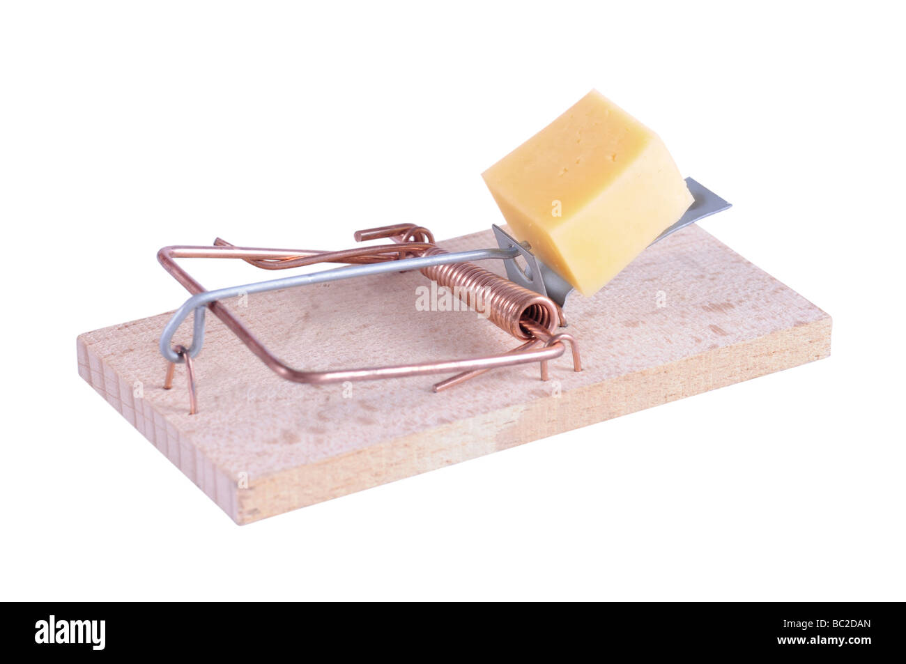 Mouse trap cheese hi-res stock photography and images - Alamy