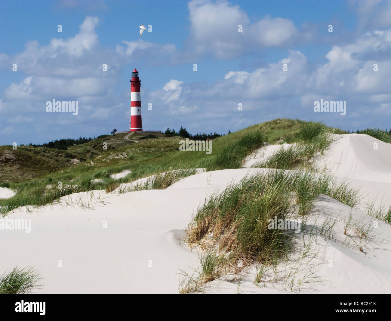 Lighthouse and Sand Dunes Amrum Germany Stock Photo - Alamy