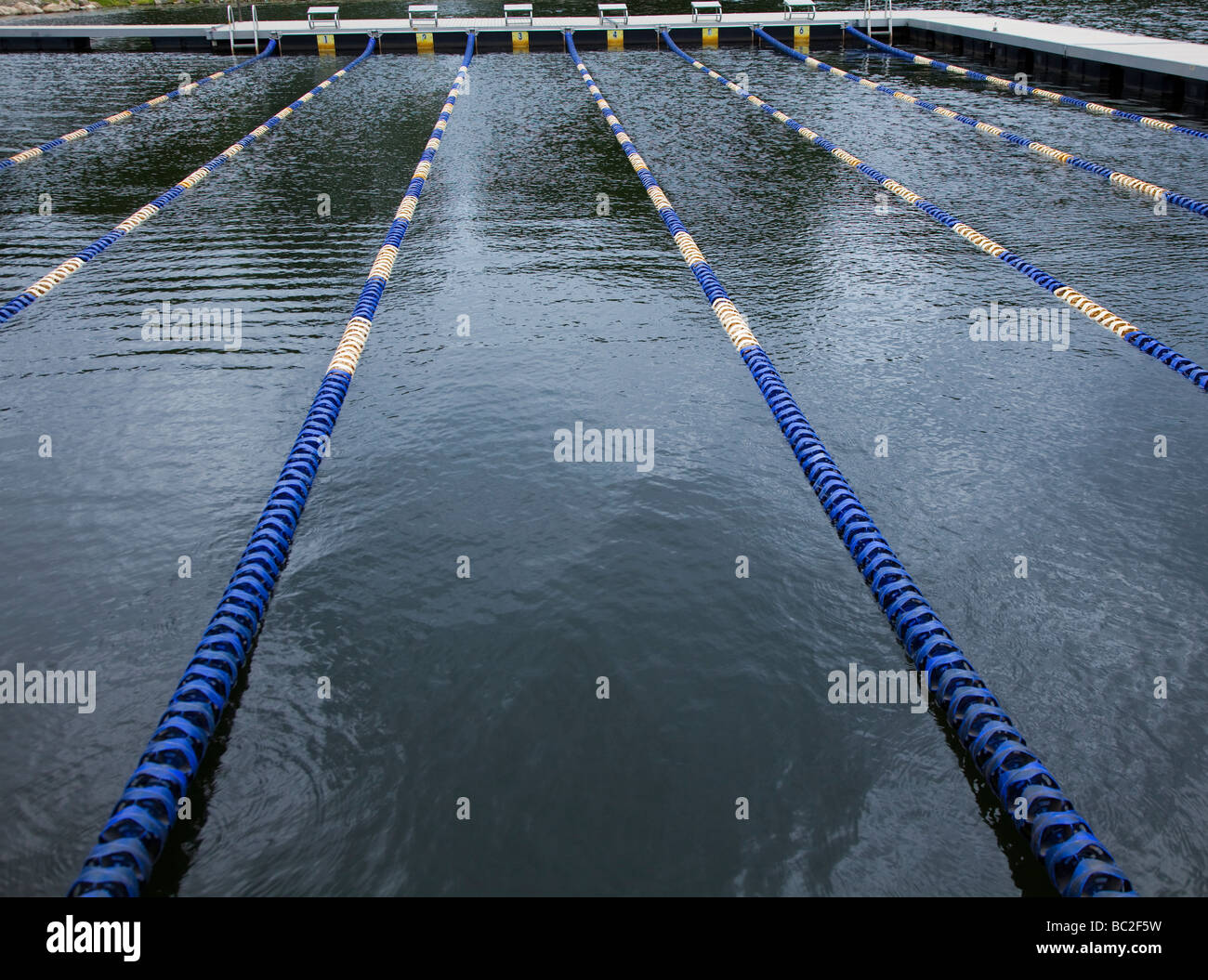 Swimming lanes for a meet Stock Photo - Alamy