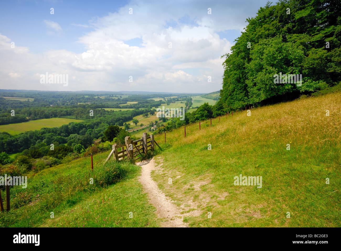 North Downs near Dorking Stock Photo - Alamy