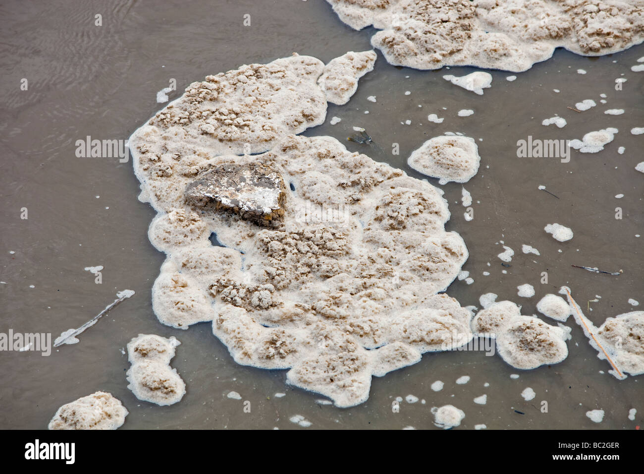 Floating scum hi-res stock photography and images - Alamy