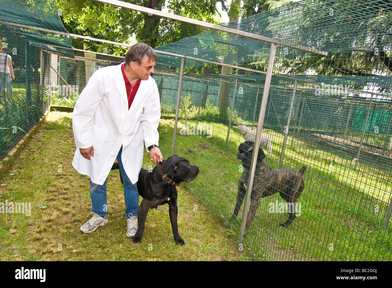 home for animals board for animals Stock Photo - Alamy