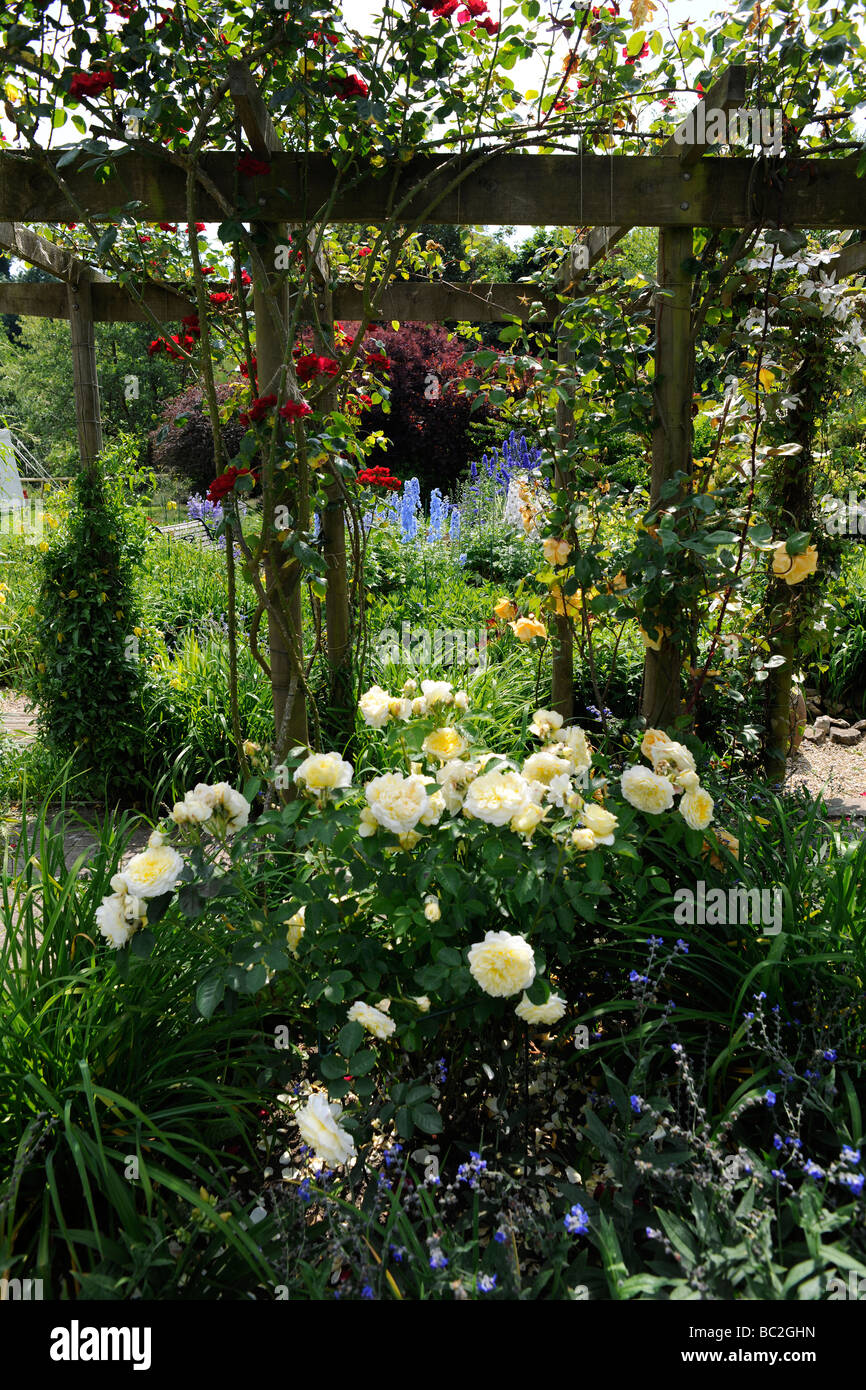 Rose arbour hi-res stock photography and images - Alamy