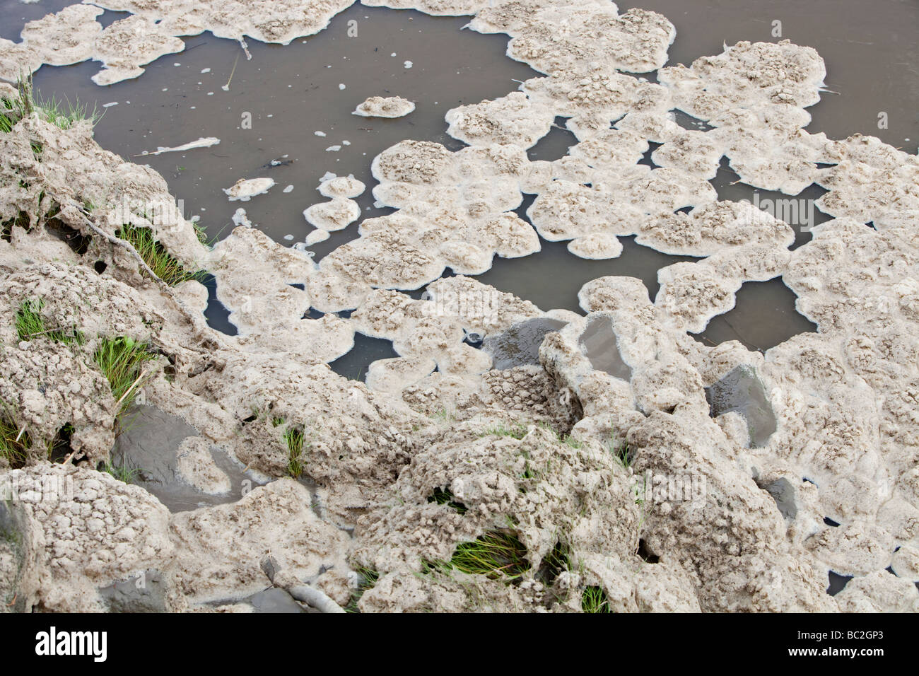 Pollution scum floating on river hi-res stock photography and images ...