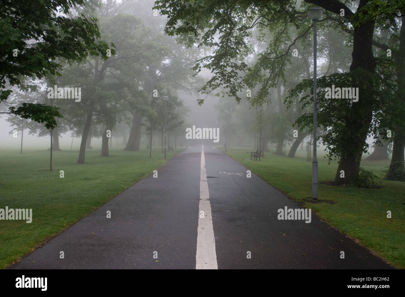 A misty morning view of Middle Meadow Walk in Edinburgh's Meadows Stock ...