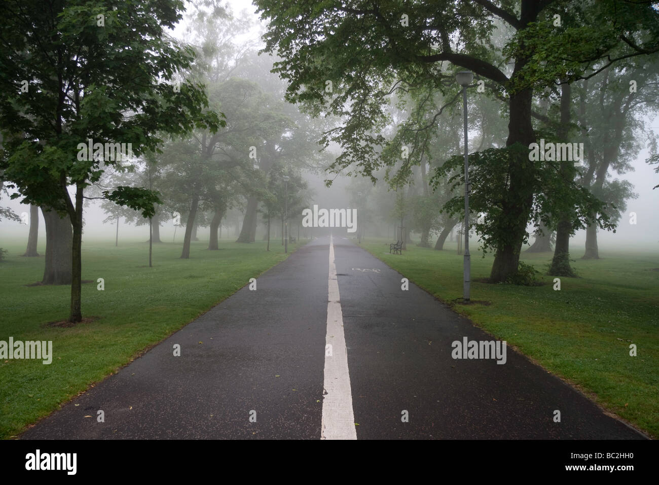 A misty morning view of Middle Meadow Walk in Edinburgh's Meadows Stock ...