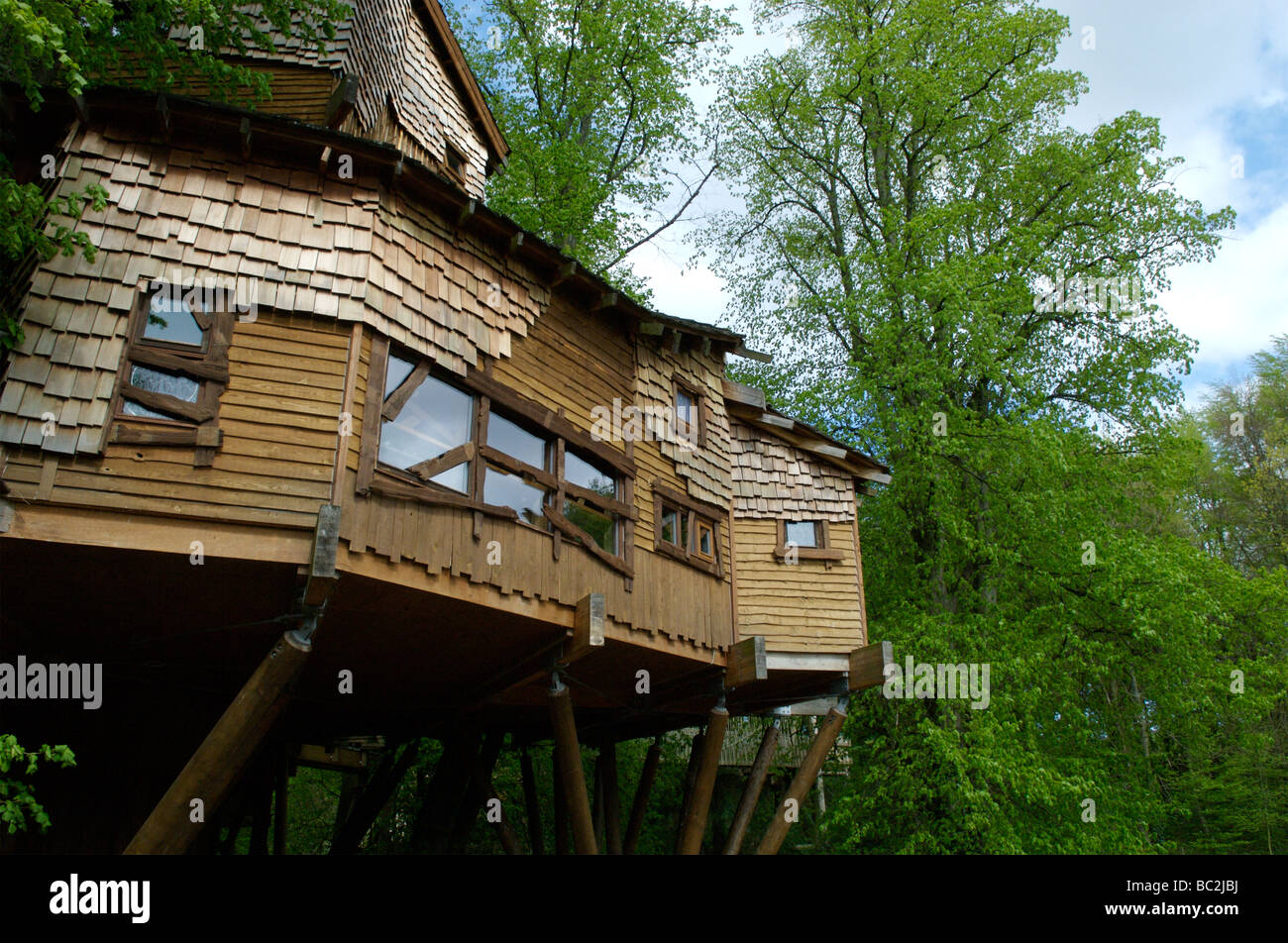 Alnwick garden treehouse hi-res stock photography and images - Alamy