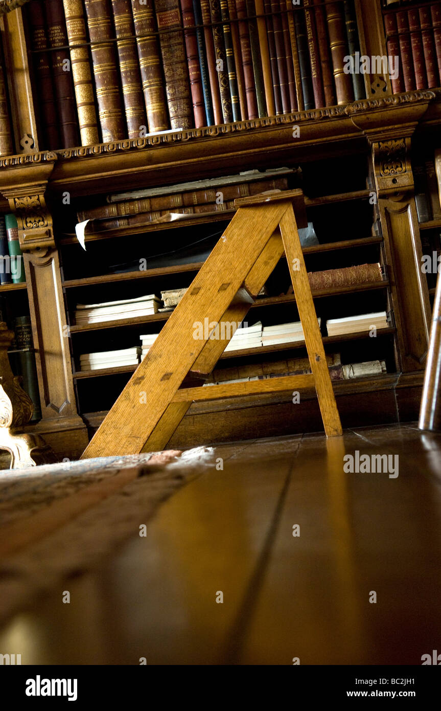 Book and library hi-res stock photography and images - Alamy