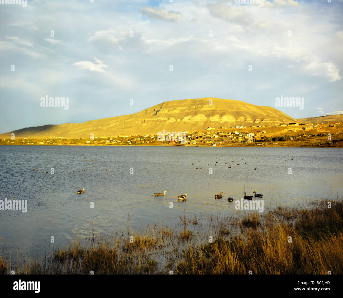 Califate hi-res stock photography and images - Alamy