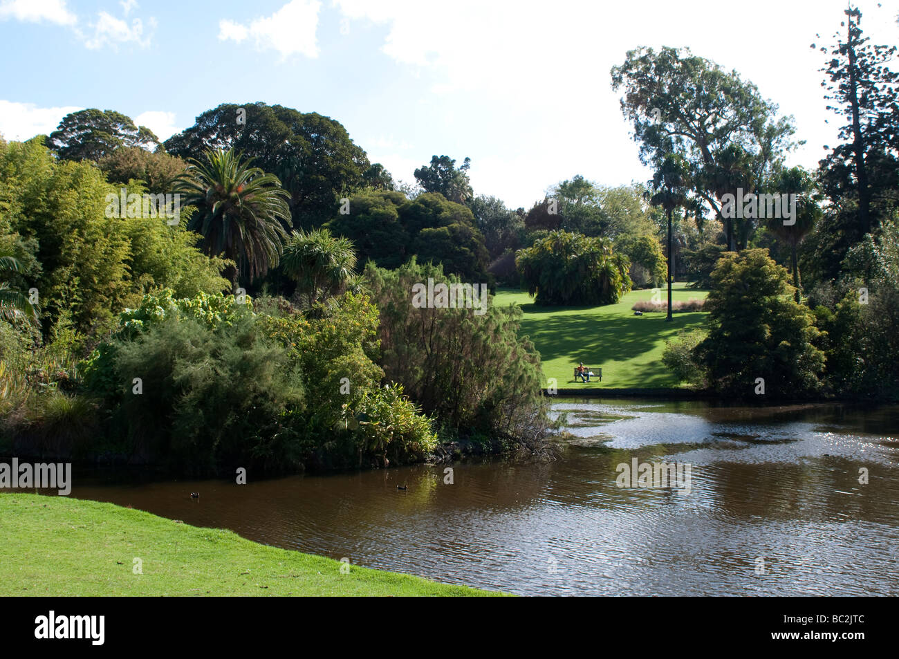 Person sitting on a bench overlooking a lake in Royal Botanic Gardens ...