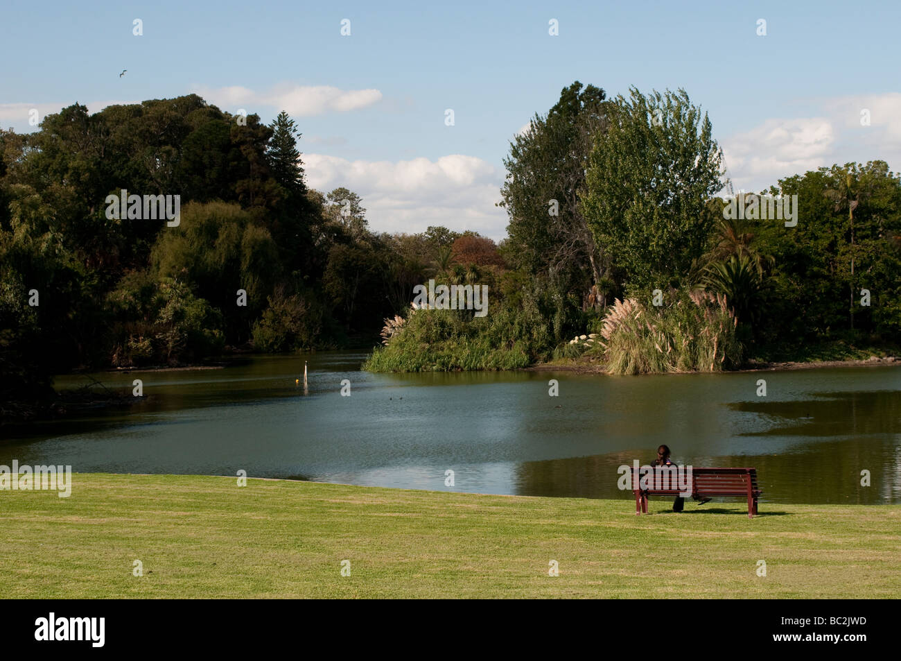 Person sitting on a bench overlooking a lake in Royal Botanic Gardens ...
