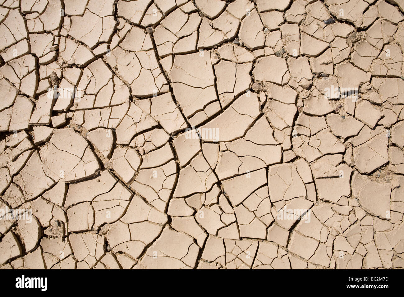 Close up of dried lake bed showing crazed patterns in the mud surface ...