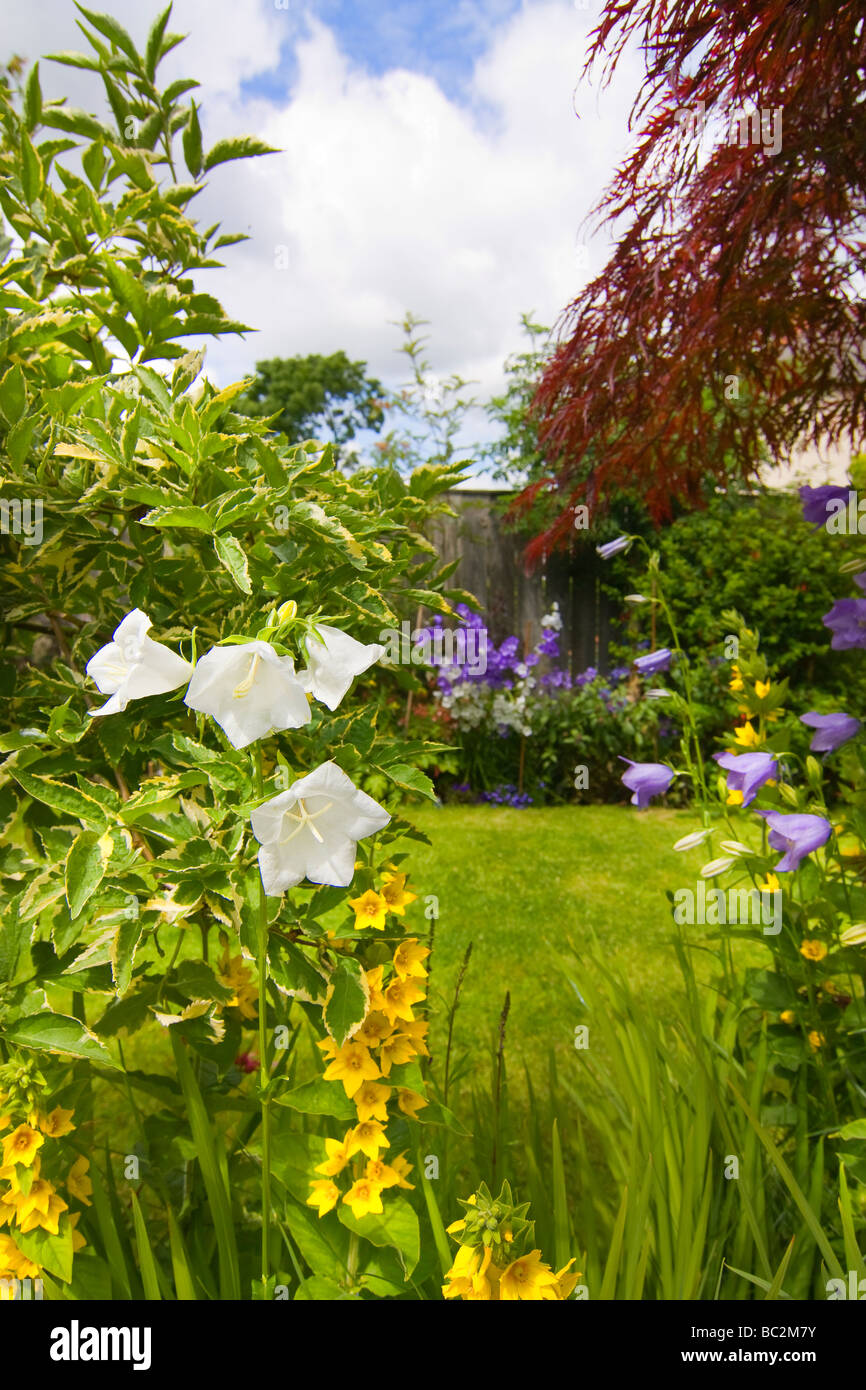 view of domestic rural english country garden plants and flowers Stock ...