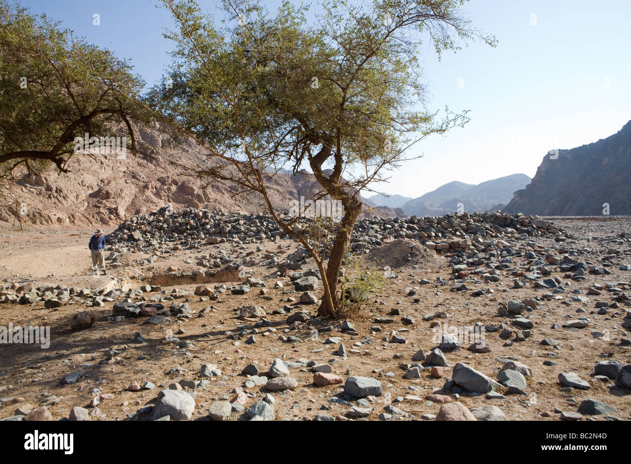 Spring in egypt hi-res stock photography and images - Alamy