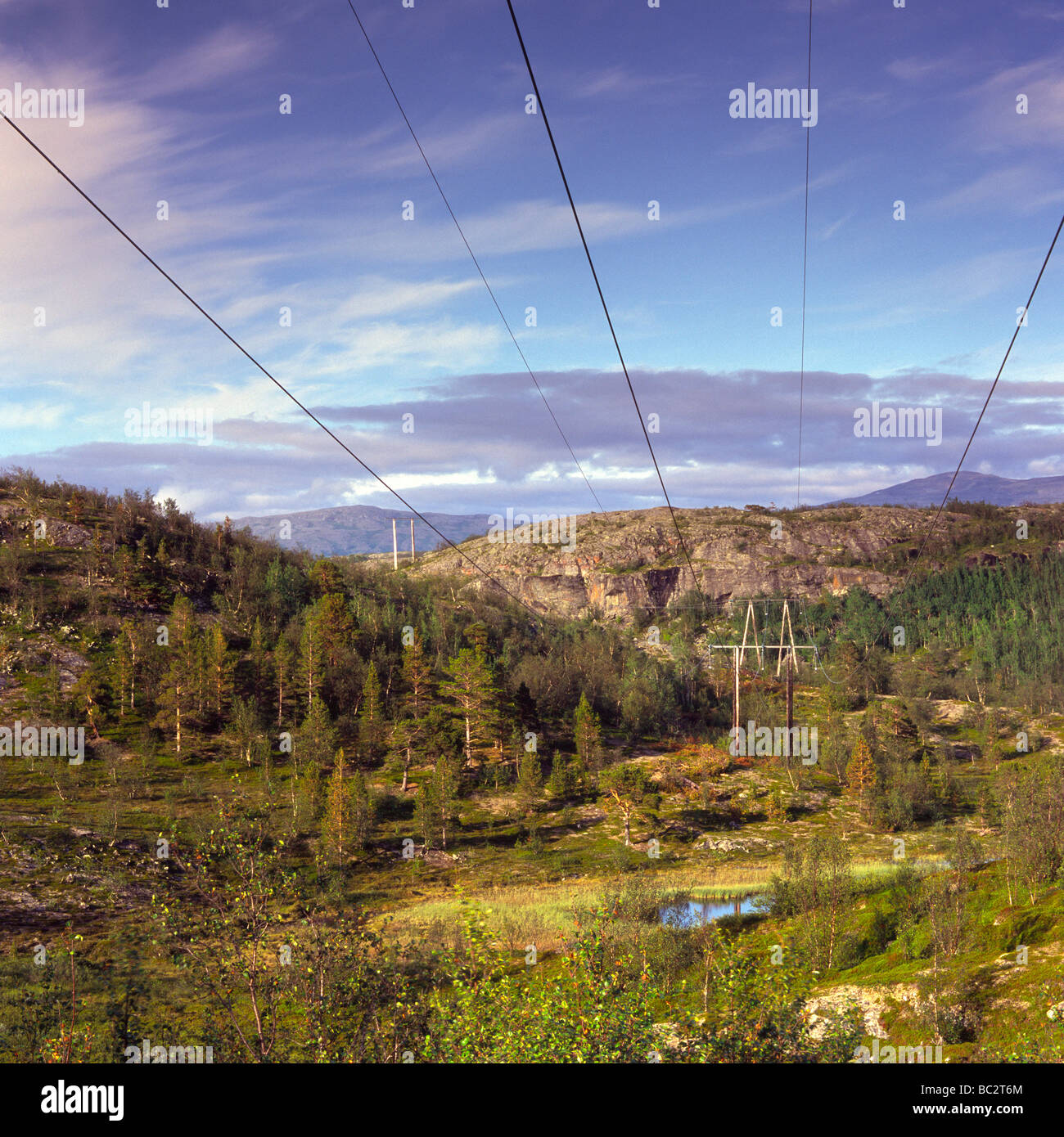 The power electricity line at the wild open tundra Stock Photo - Alamy