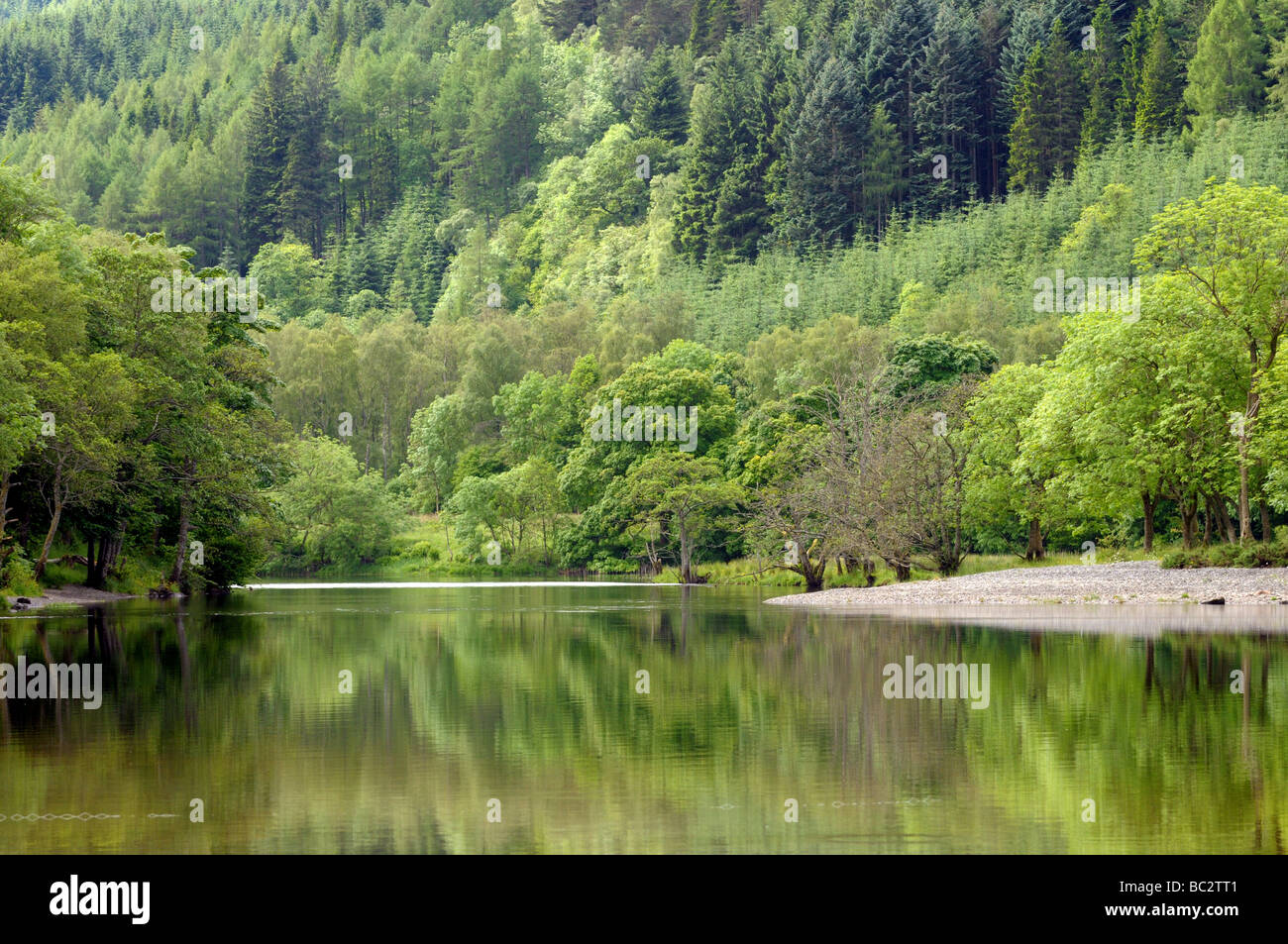 Highlands loch trees hi-res stock photography and images - Alamy