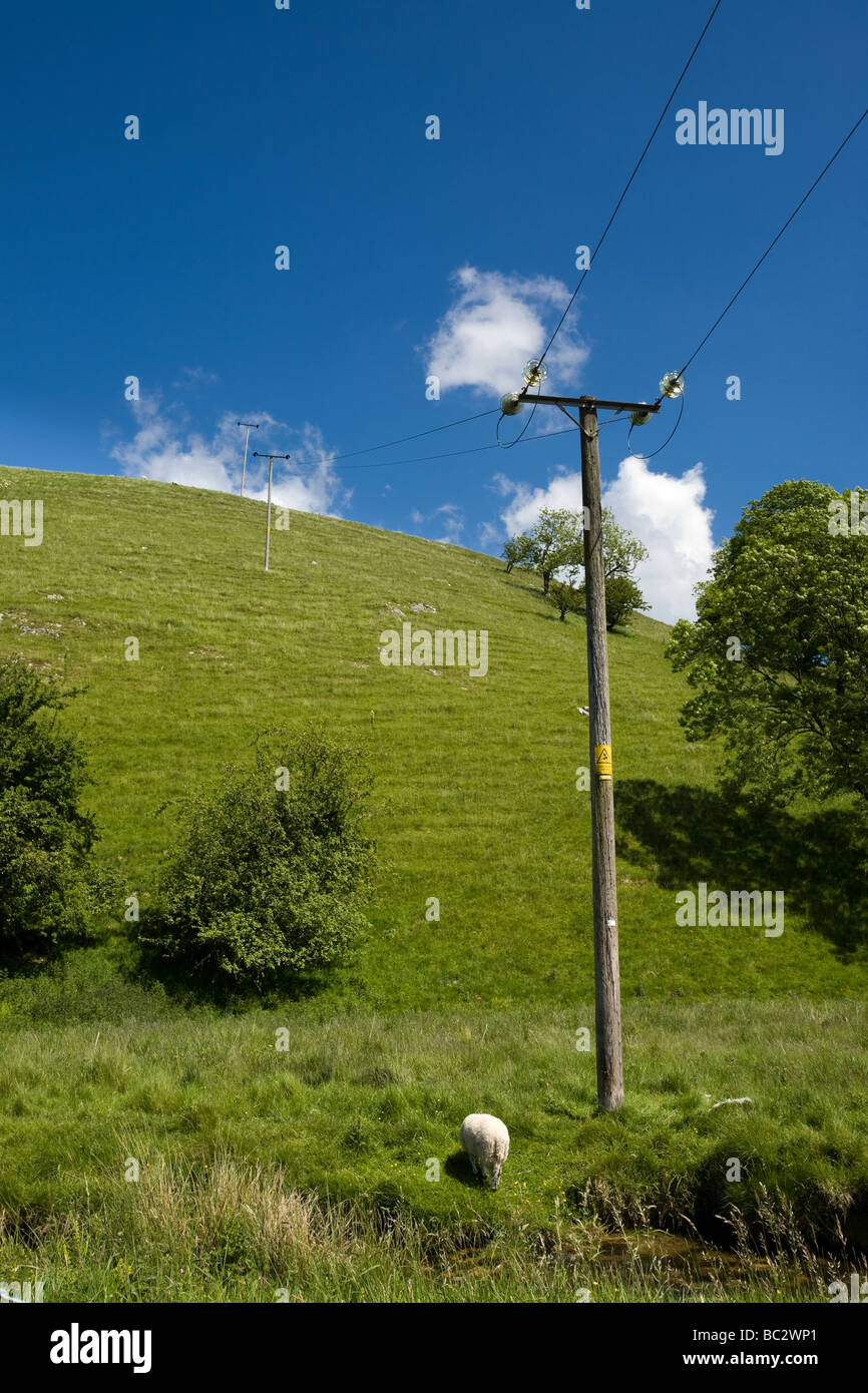Telephone sheep hi-res stock photography and images - Alamy