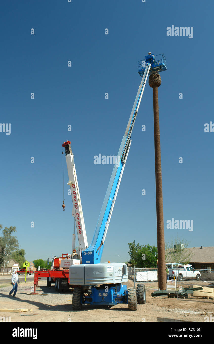 Glendale, Phoenix, Arizona, AZ Stock Photo - Alamy