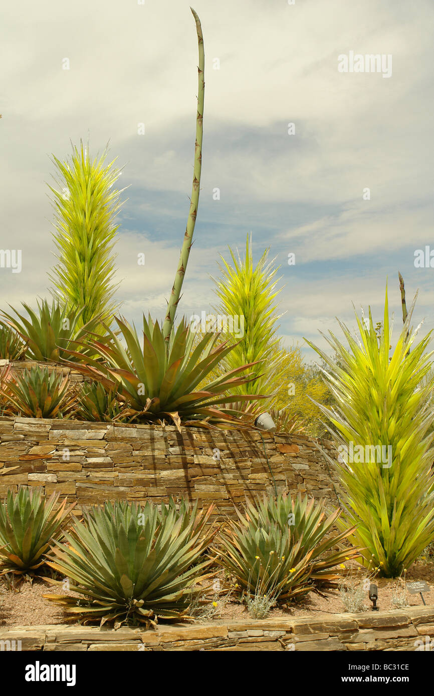 Tempe, Phoenix, Arizona, AZ Stock Photo - Alamy