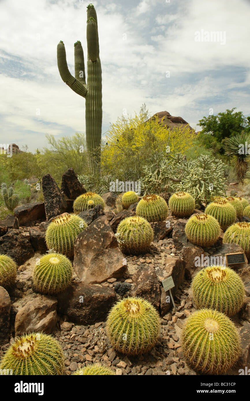 Tempe, Phoenix, Arizona, AZ Stock Photo - Alamy